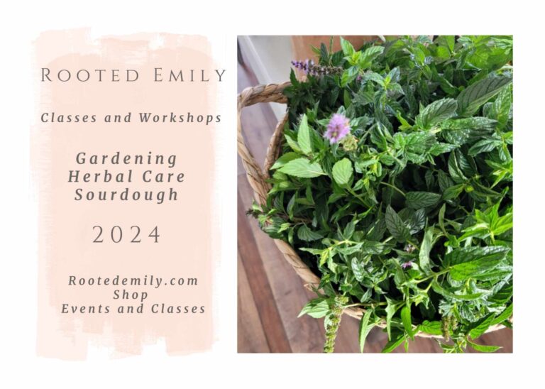 Rooted Emily – Sage and Sourdough Wellness & Herbs
